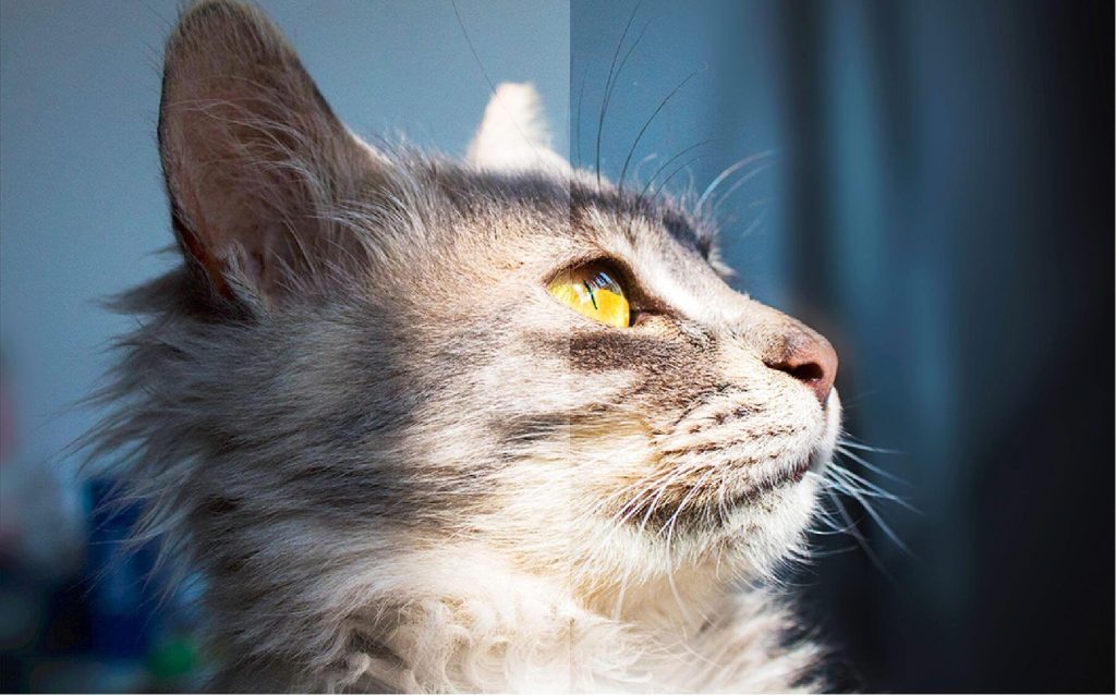 Complete Guide to Contrast Ratio | Absen Europe